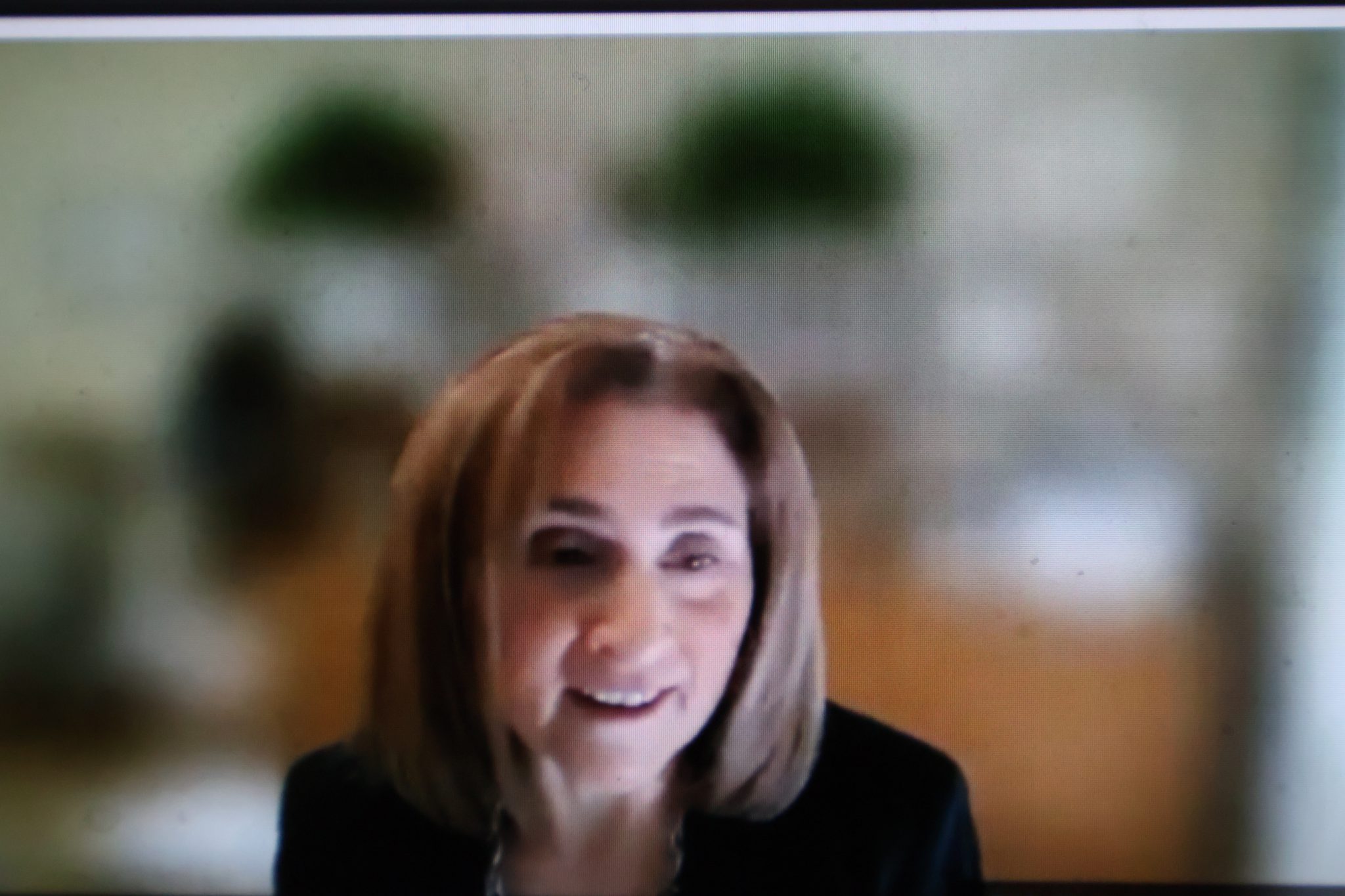 THE SCHOOL BUDGET IN 30 MINUTES: DR. JOSEPH RICCA AND DR. ANN VACCARO ...