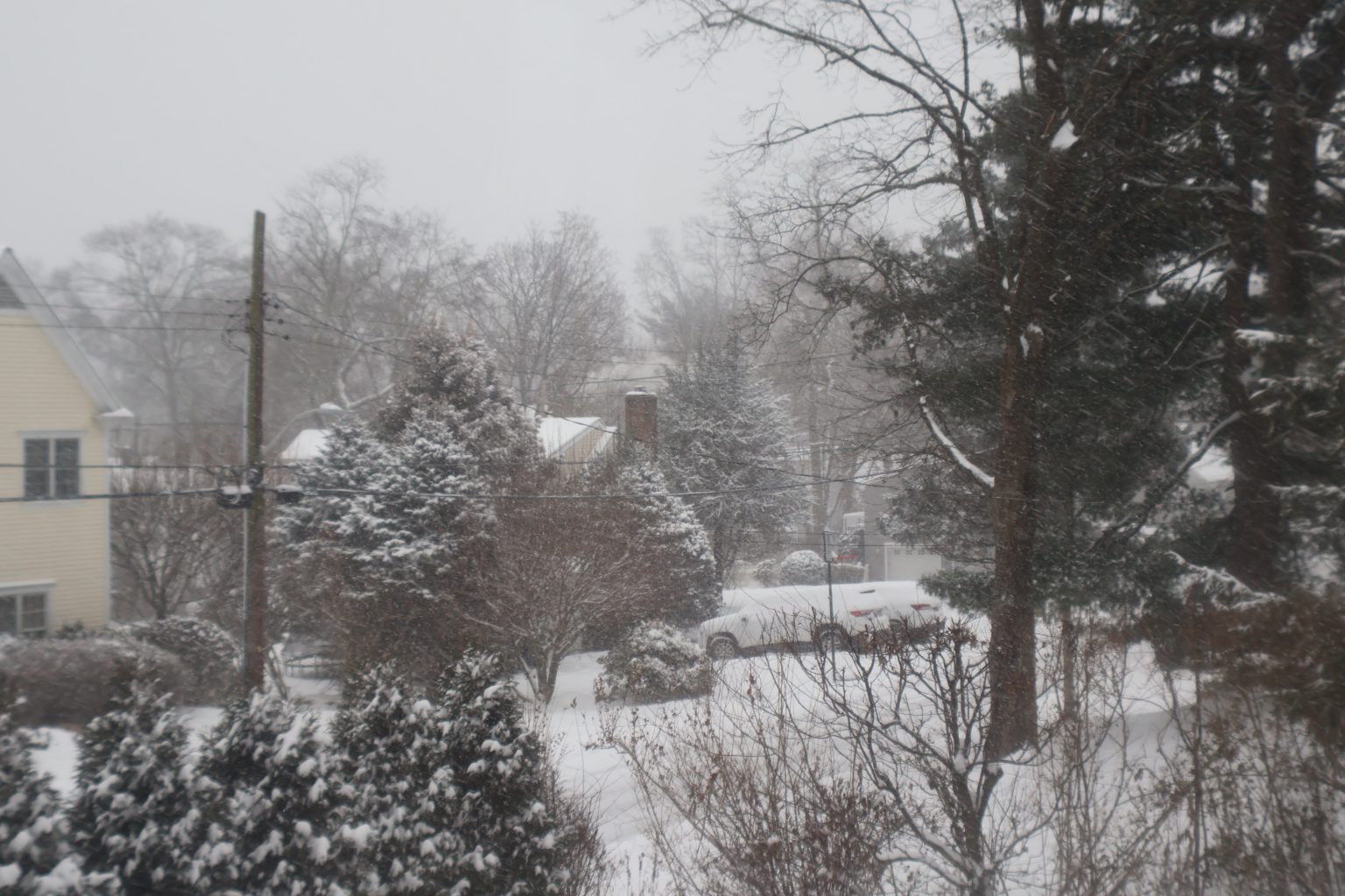 JANUARY 25– SNOW FLAKE-BY-FLAKE: THE BIG WHITE CONTINUES AT 5 INCHES AN ...